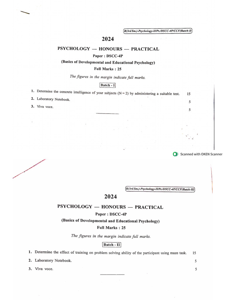 Sem 3 Practical Question Papers | PDF