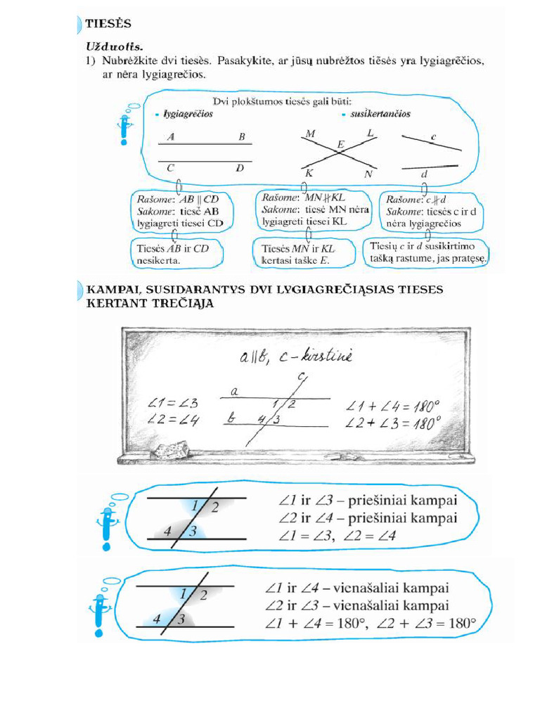 7kl Tieses Vienasaliai Ir Priesiniai Kampai | PDF