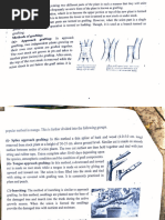 Asexual Propagation by Inarching | PDF | Grafting | Trees