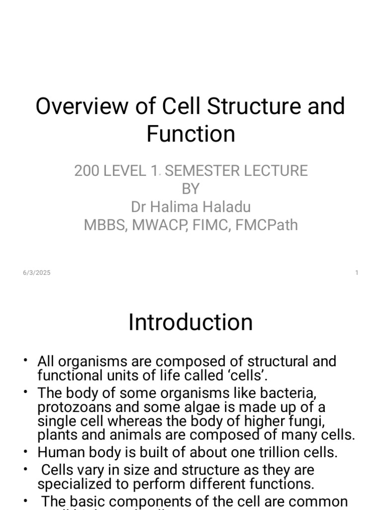 Overview of Cell Structure and Functionppt F | PDF | Mitochondrion ...