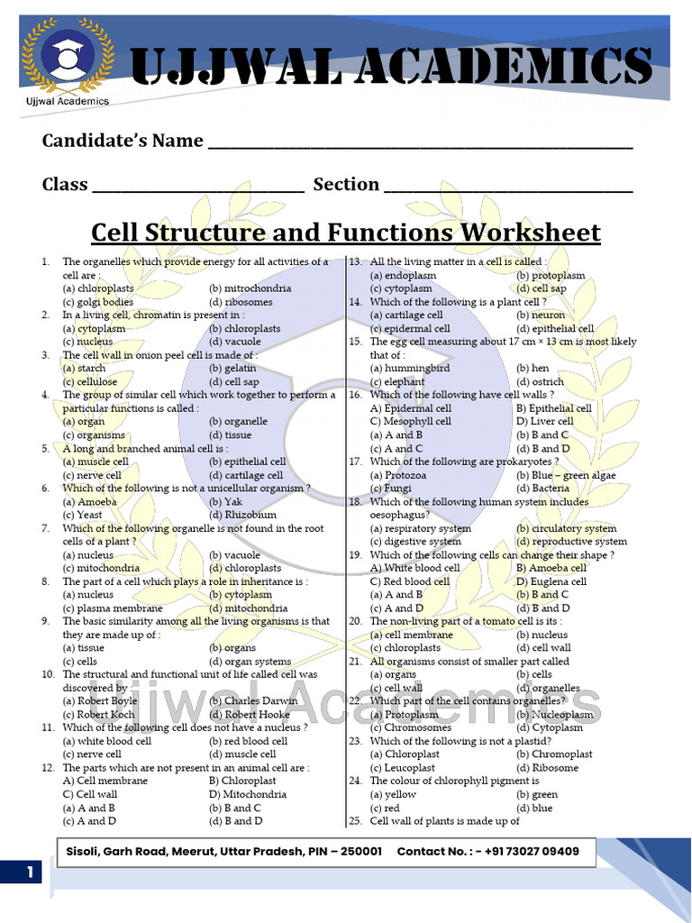 Cell Structure and Functions Worksheet | PDF | Cell (Biology) | Cytoplasm