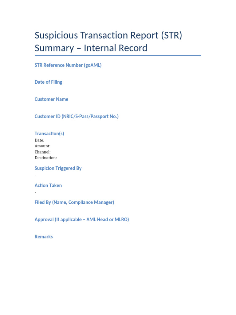 STR Template Internal Record | PDF