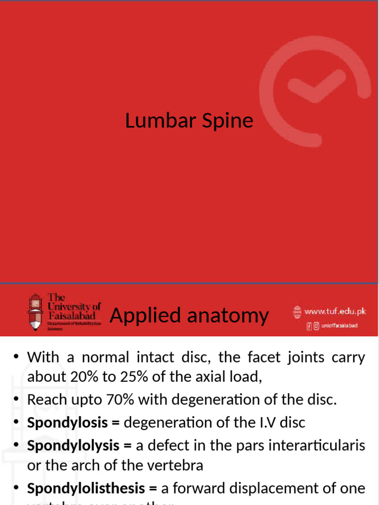 Understanding Lumbar Spine Anatomy and Issues | PDF | Vertebral Column ...