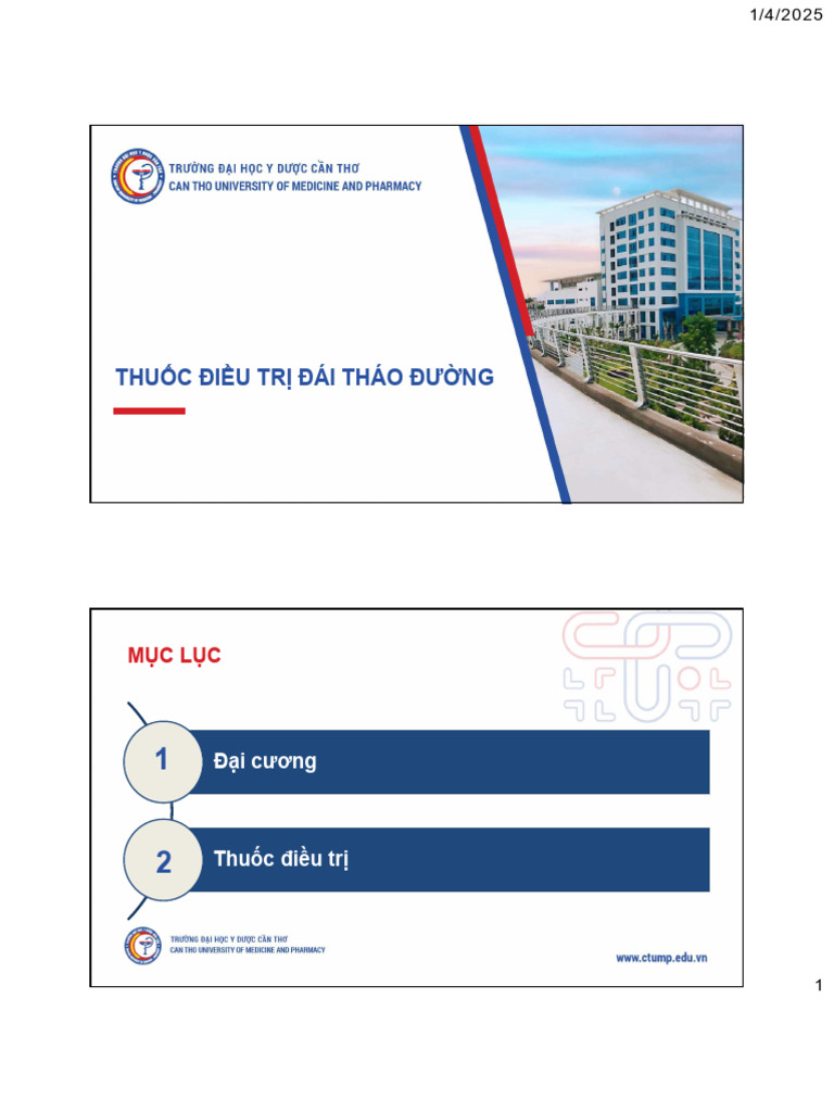 Bai Giang Duoc Ly Dai Thao Duong | PDF