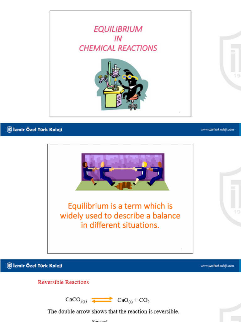 Understanding Reversible Reactions | PDF | Chemical Equilibrium ...
