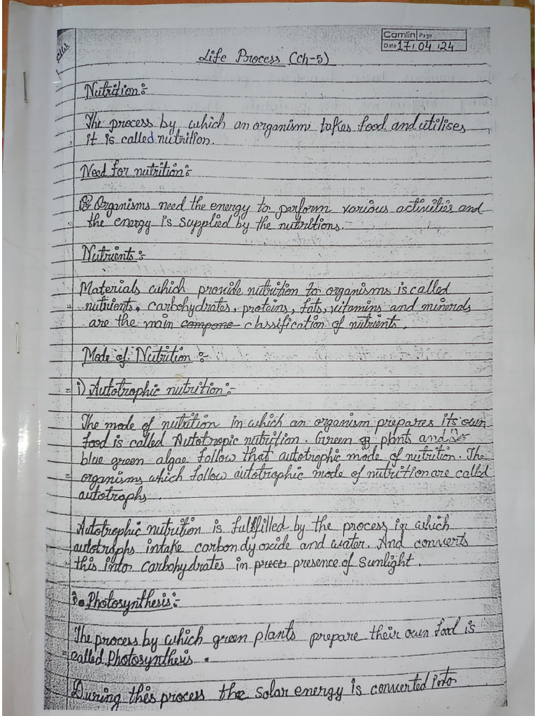 Life Process Class 10 | PDF