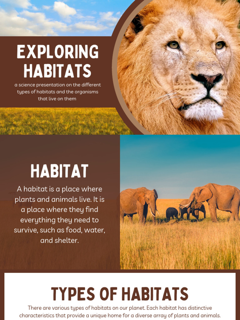 Exploring Different Types of Habitats ... | PDF | Habitat | Wetland
