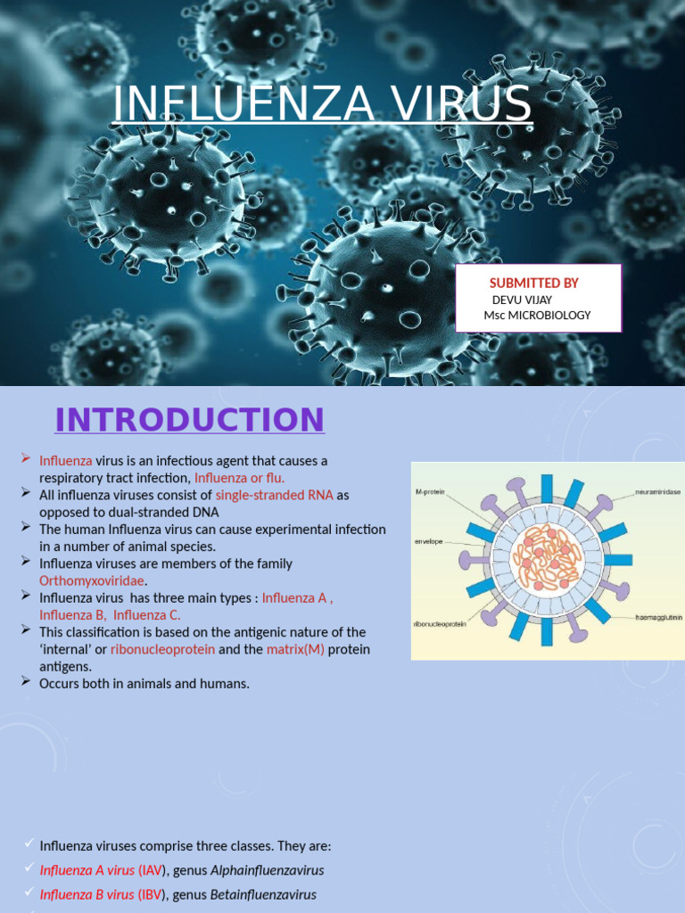 Influenza Virus Overview and Insights | PDF | Influenza | Influenza A Virus