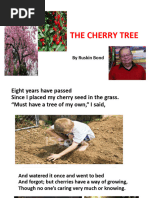 I Am a Tree by Nancy Kopman | PDF | Language Arts & Discipline