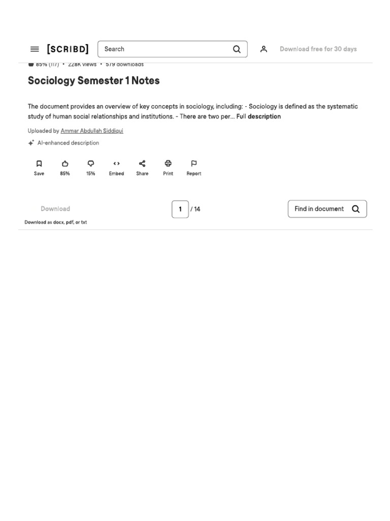 Socity | PDF