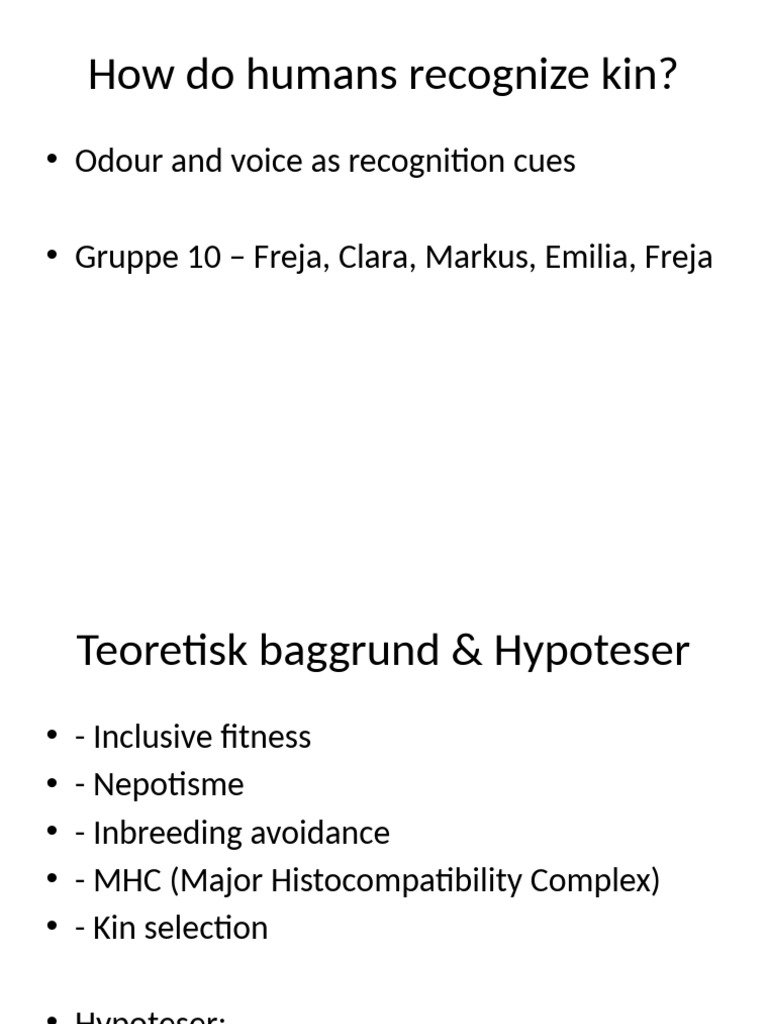 Kin Recognition Presentation Freja Group10 | PDF