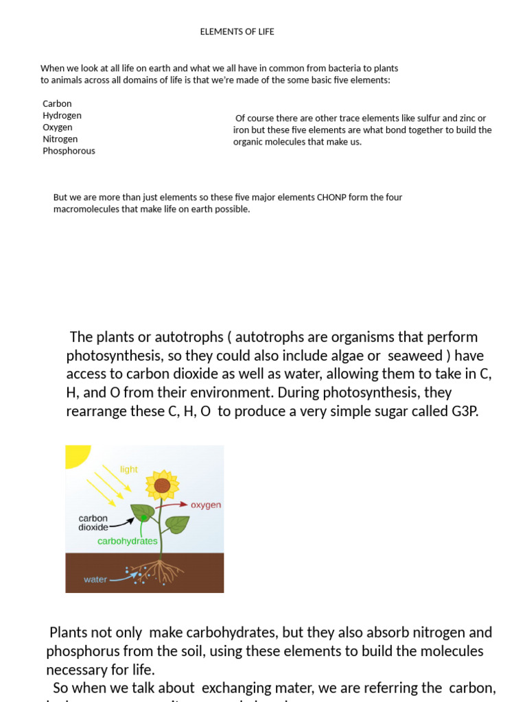 Essential Elements for Life: CHONP | PDF | Macromolecules | Biochemistry