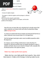 Water: The Universal Solvent Explained | PDF | Water | Properties Of Water