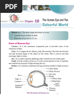 Human Eye and The Colorful World - Short Notes (Prashant Kirad) | PDF ...