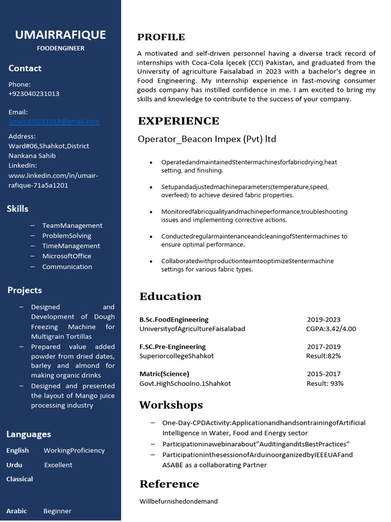 Umair Rafique Resume (2) (1) (1) | PDF
