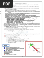 Class 10 - Bio - Control and Coordination - Notes | PDF | Neuron ...