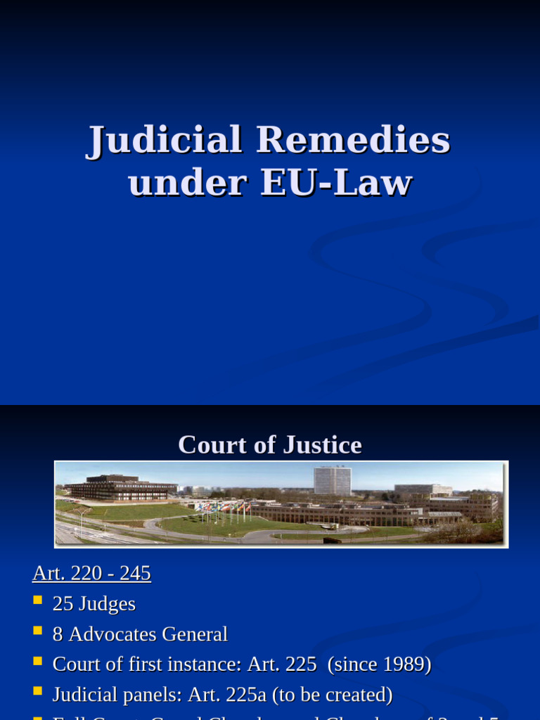 Judicial Remedies | PDF | European Court Of Justice | Justice