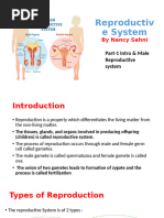 Labelled - Diagram - Male - Reproductive - System | PDF | Science ...