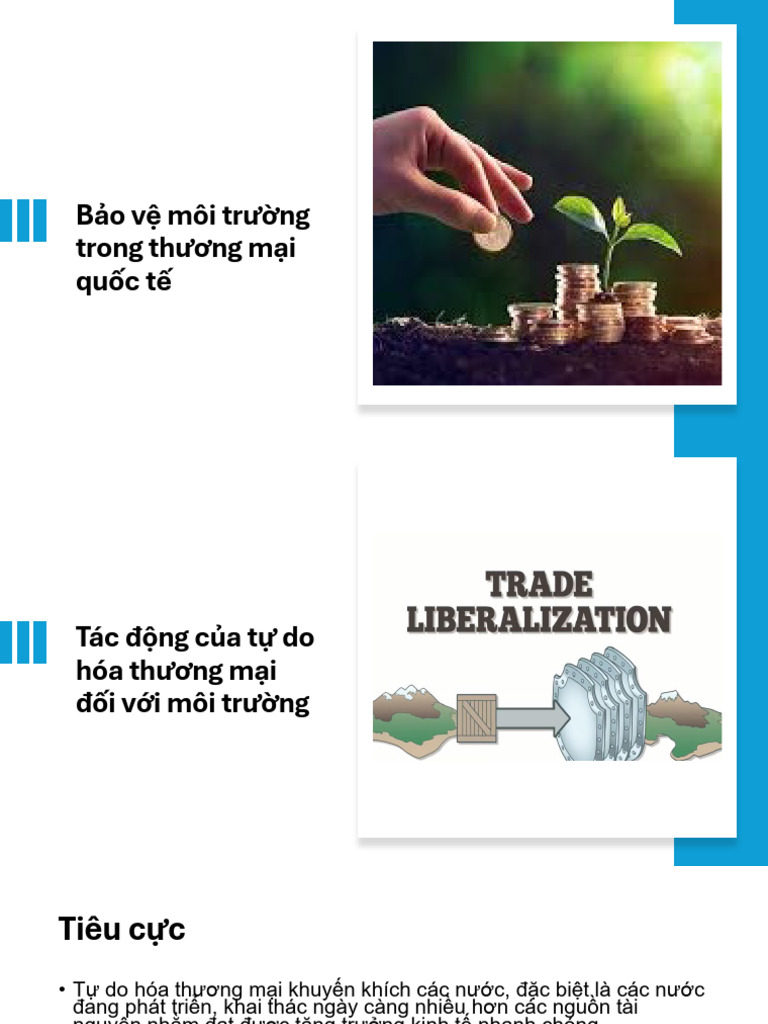 Buoi 12. Bao Ve Moi Truong Trong Thuong Mai Quoc Te | PDF