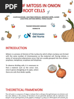 Lab Manual - Mitosis in An Onion Root Cell | PDF