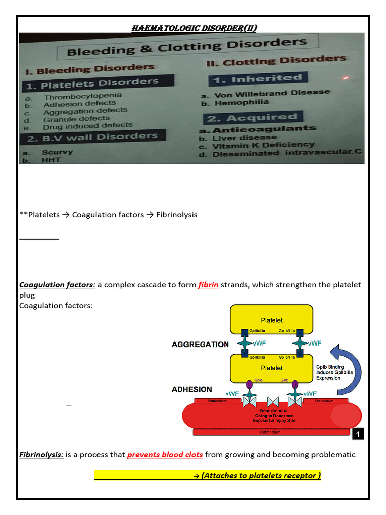 Understanding Hematologic Disorders | PDF | Platelet | Coagulation