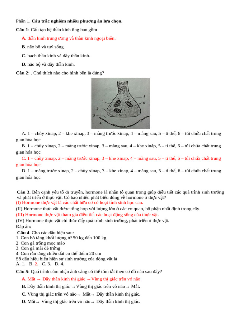 Đề giữa kì 2 Sinh 11 15p so 1 | PDF