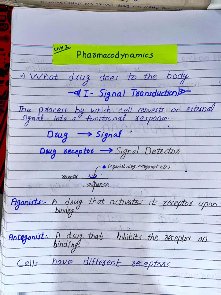 Pharmacodynamics Notes by Zamin Ali | PDF