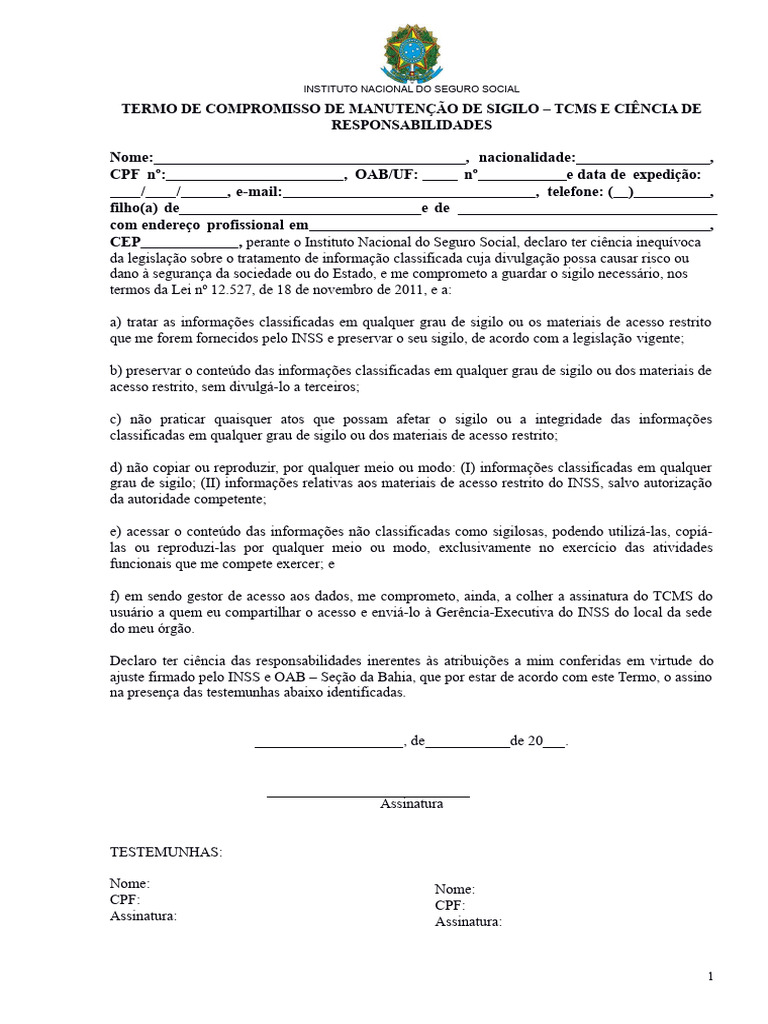 Modelo de Termo de Sigilo | PDF