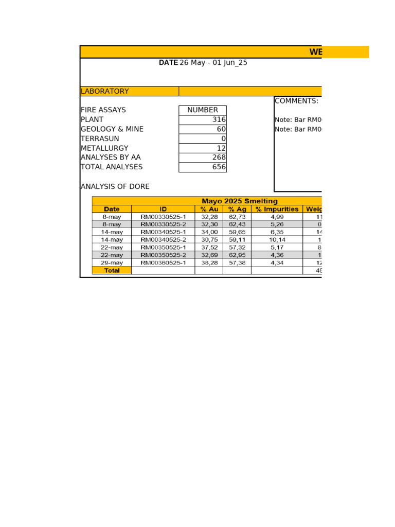 Laboratory Metrics 26 de May Al 01 de Jun 2025 | PDF