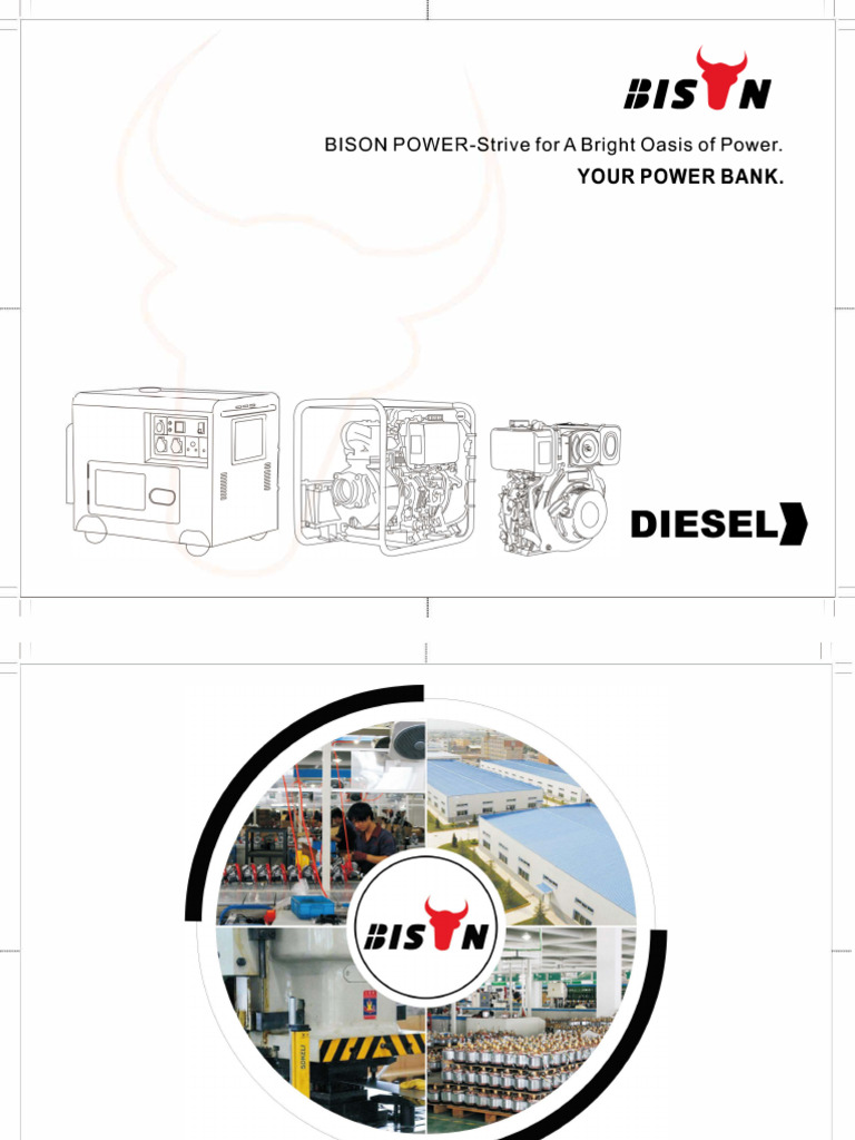 BISON Diesel Generator | PDF | Power Supply | Engines