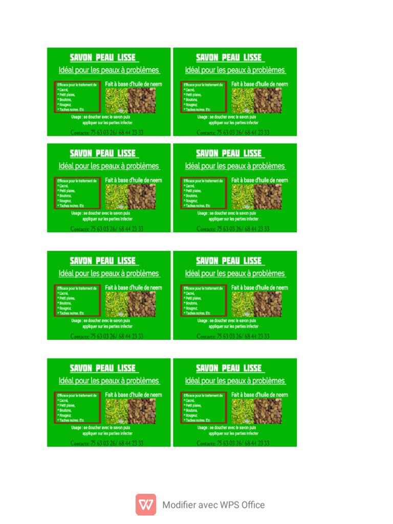 Document WPS Office | PDF