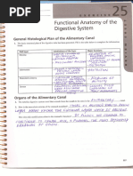 The Skeletal System Answer Key | PDF