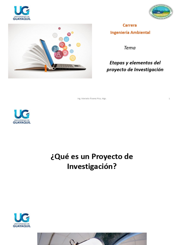 Etapas y Elementos Del Proyecto | PDF | Creatividad | Conocimiento