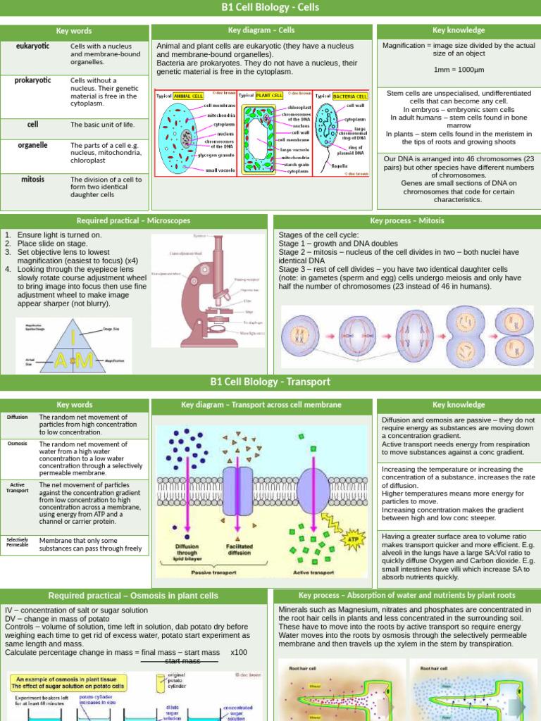 B1 Triple Cell Biology Knowledge Maps | PDF | Cell (Biology) | Cell Nucleus