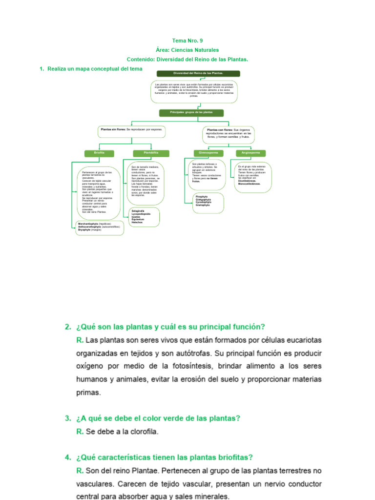 Diversidad Del Reino de Las Plantas. | PDF | Plantas | Musgo