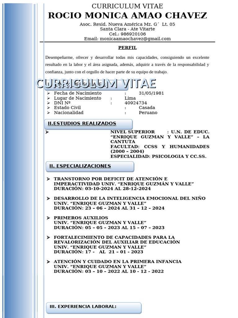 CV Rocío Mónica Amao Chávez | PDF