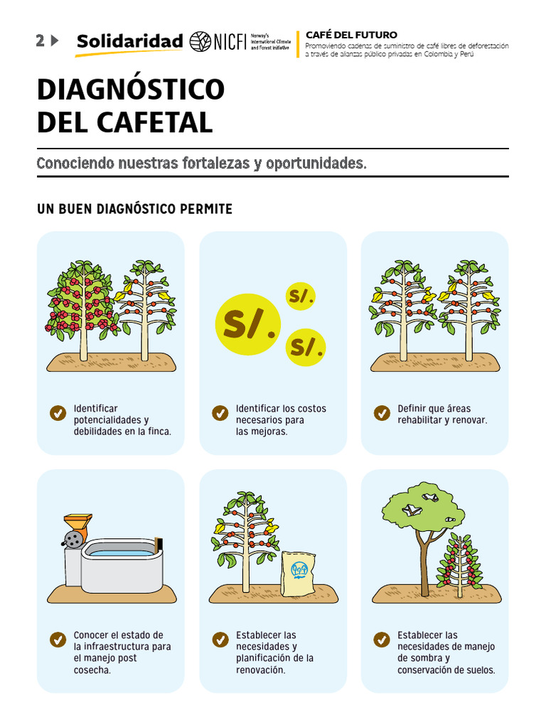 Diptico 2 N | PDF | café
