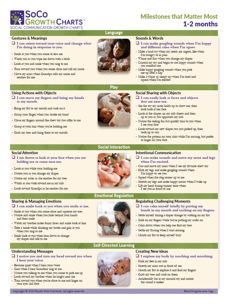 Key Developmental Milestones for Infants | PDF