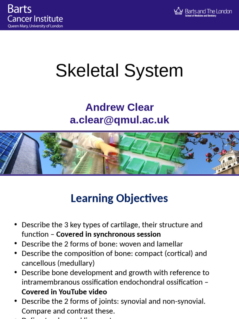 Skeletal System Lecture | PDF | Bone | Osteoblast