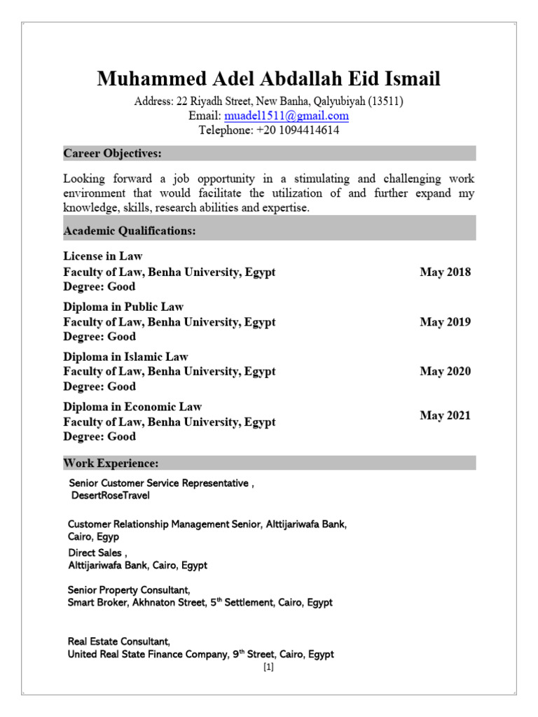 Muhammed Adel CV | PDF