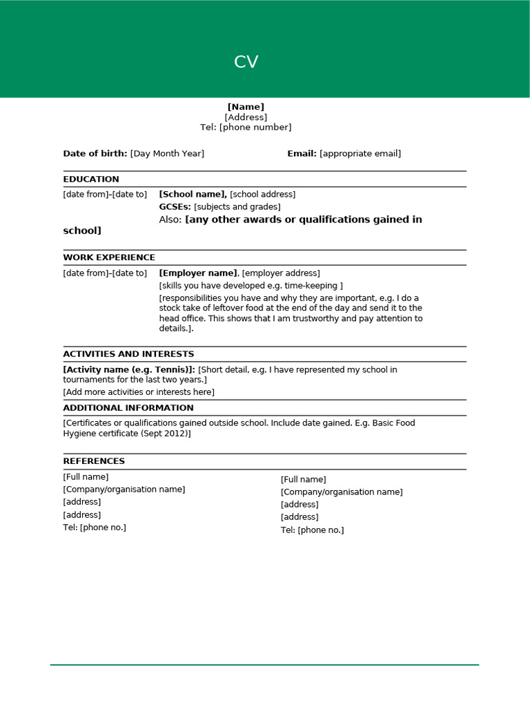 Standard CV Template Guide | PDF