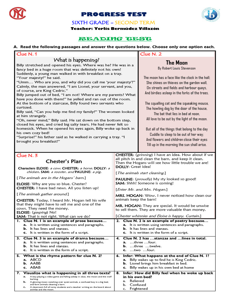 Sixth Grade Reading Progress Test | PDF