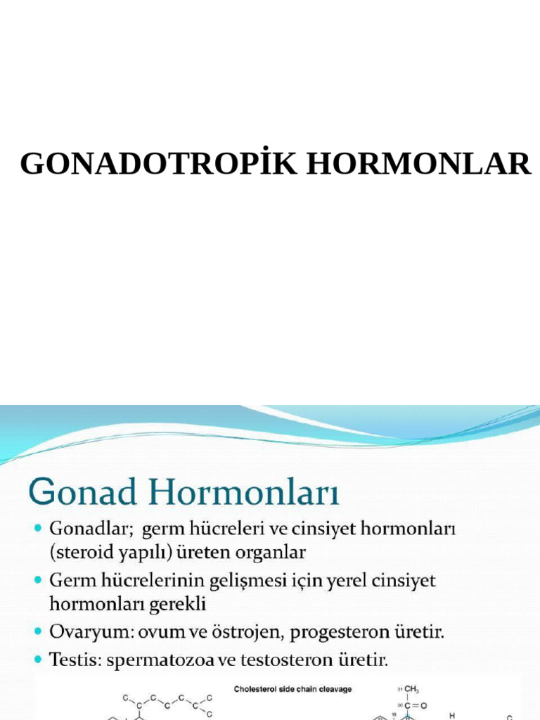 Gonad Hormonlar-Erkek - 20250513_235523 | PDF