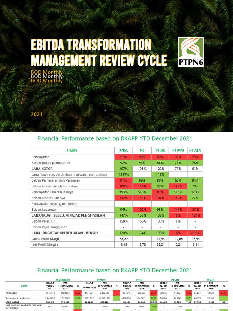 Ebitda New | PDF