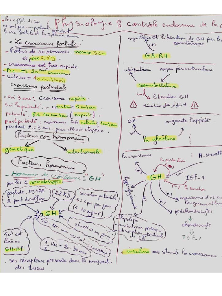 Résumé Physio | PDF