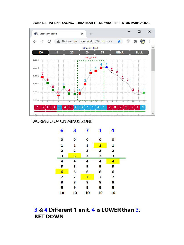 Chapter 4 Worm | PDF