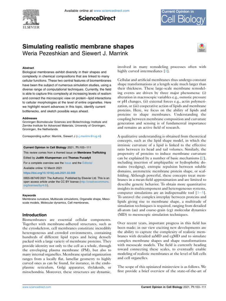 Simulating Realistic Membrane Shapes | PDF | Cell Membrane | Proteins