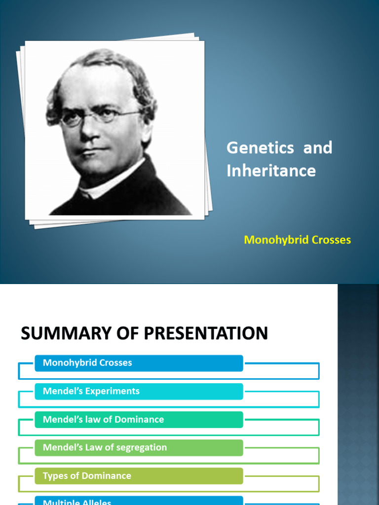 Monohybrid Crosses 3 | PDF | Dominance (Genetics) | Genotype
