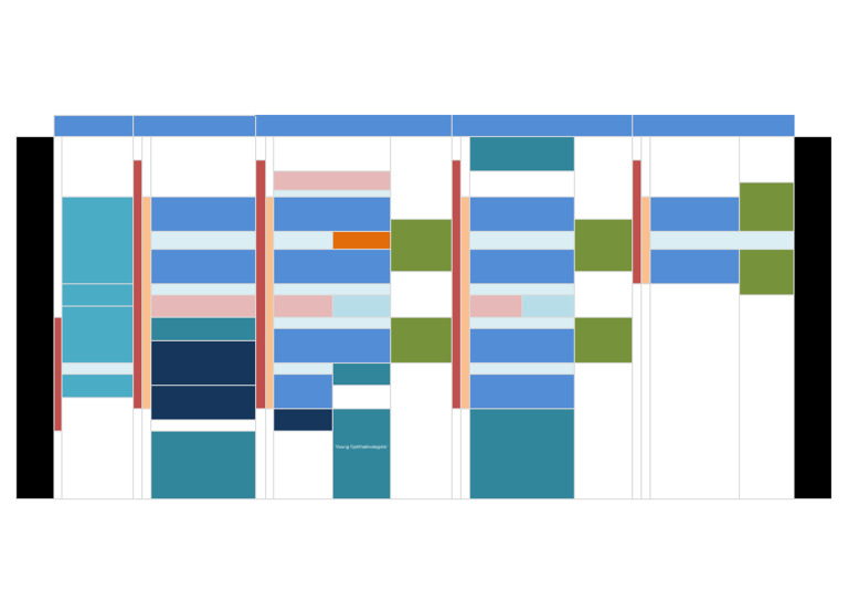 Programa APAO - 2024 - Program - Overview - 20240208 | PDF | Meal | Eating Behaviors Of Humans