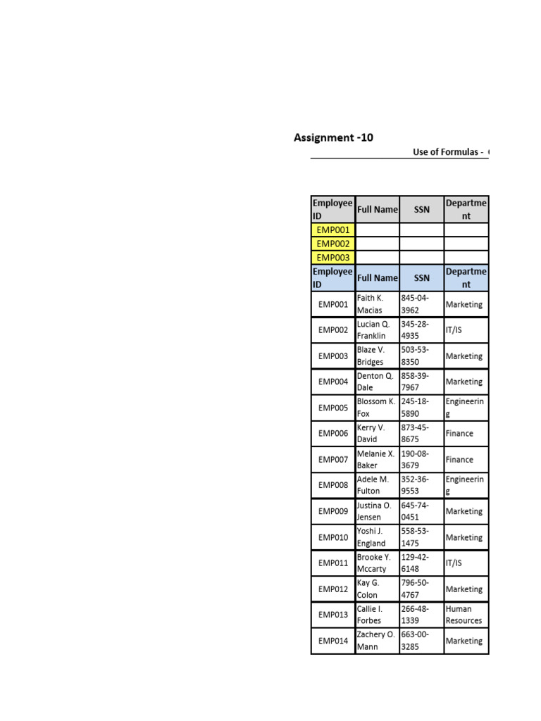 50 Ms Excel Assignments PDF For Practice | PDF